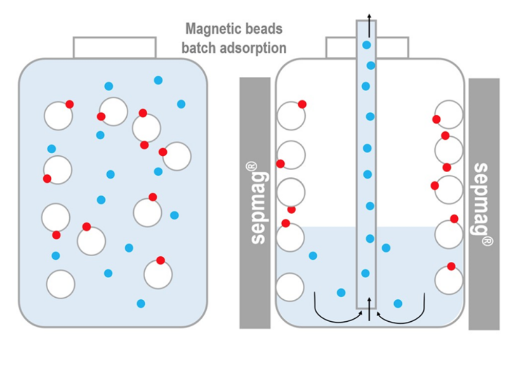 Standardizing Magnetic bead technology, applications, and problems - Sepmag